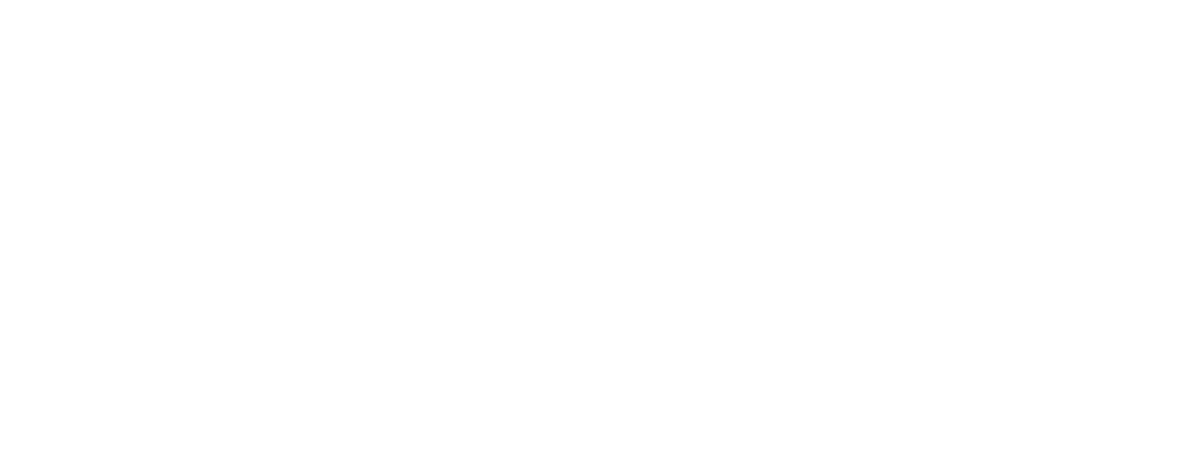 The Centre for Research Excellence to Accelerate Stroke Trial ...